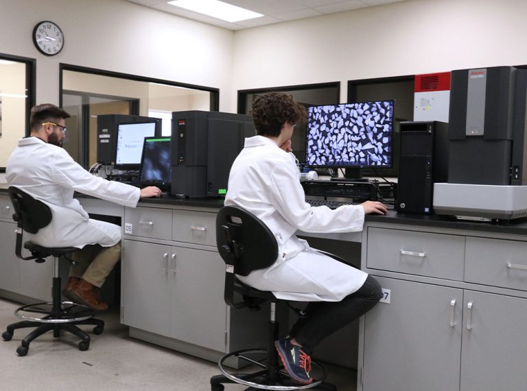 SEM & Elemental Analysis | Nanoscience Analytical