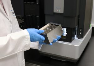 SEM & Elemental Analysis | Nanoscience Analytical