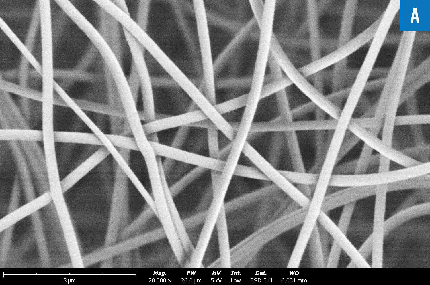 Electrospun Carbon Nanofibers for High-Performance Applications | Nanoscience Analytical