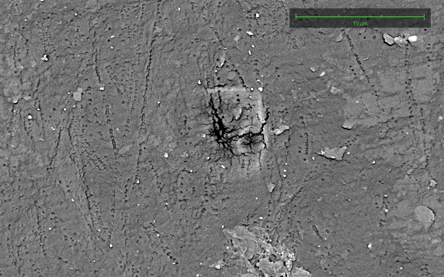 5 Approaches for Optimizing SEM Imaging of Nonconductive Samples ...