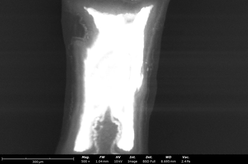 5 Approaches for Optimizing SEM Imaging of Nonconductive Samples ...