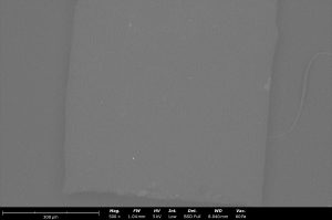 5 Approaches for Optimizing SEM Imaging of Nonconductive Samples ...