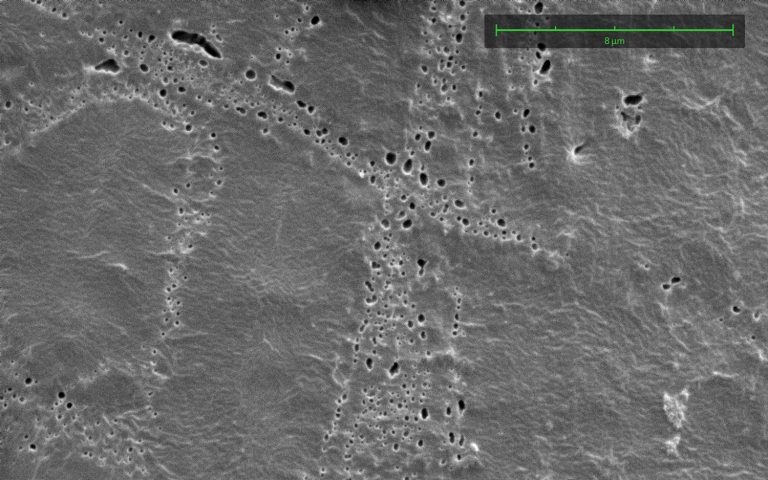 5 Approaches for Optimizing SEM Imaging of Nonconductive Samples | Nanoscience Analytical