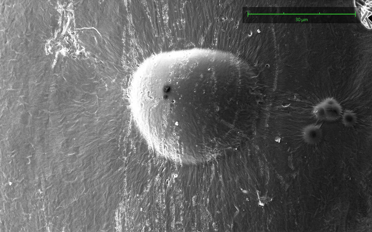 5 Approaches for Optimizing SEM Imaging of Nonconductive Samples ...