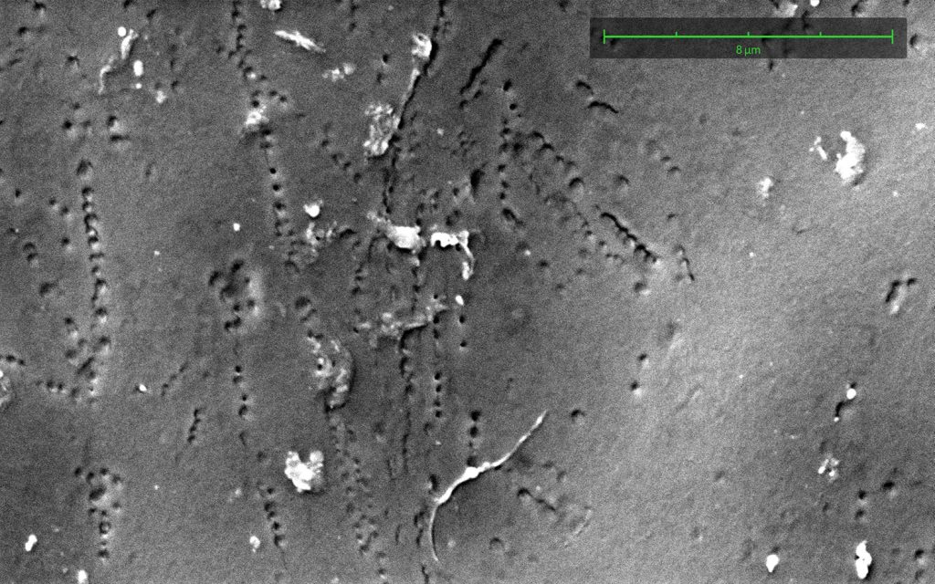 5 Approaches for Optimizing SEM Imaging of Nonconductive Samples ...