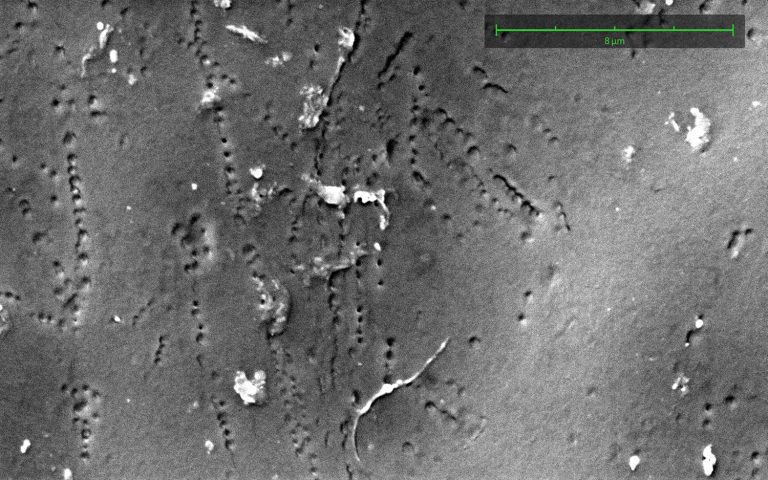 5 Approaches for Optimizing SEM Imaging of Nonconductive Samples ...