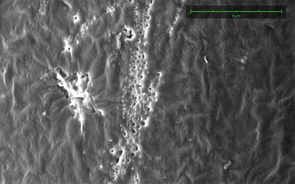 5 Approaches for Optimizing SEM Imaging of Nonconductive Samples ...