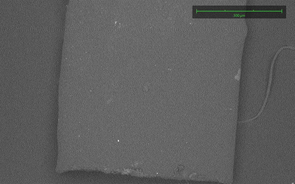 5 Approaches for Optimizing SEM Imaging of Nonconductive Samples ...