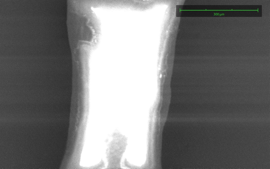 5 Approaches for Optimizing SEM Imaging of Nonconductive Samples ...