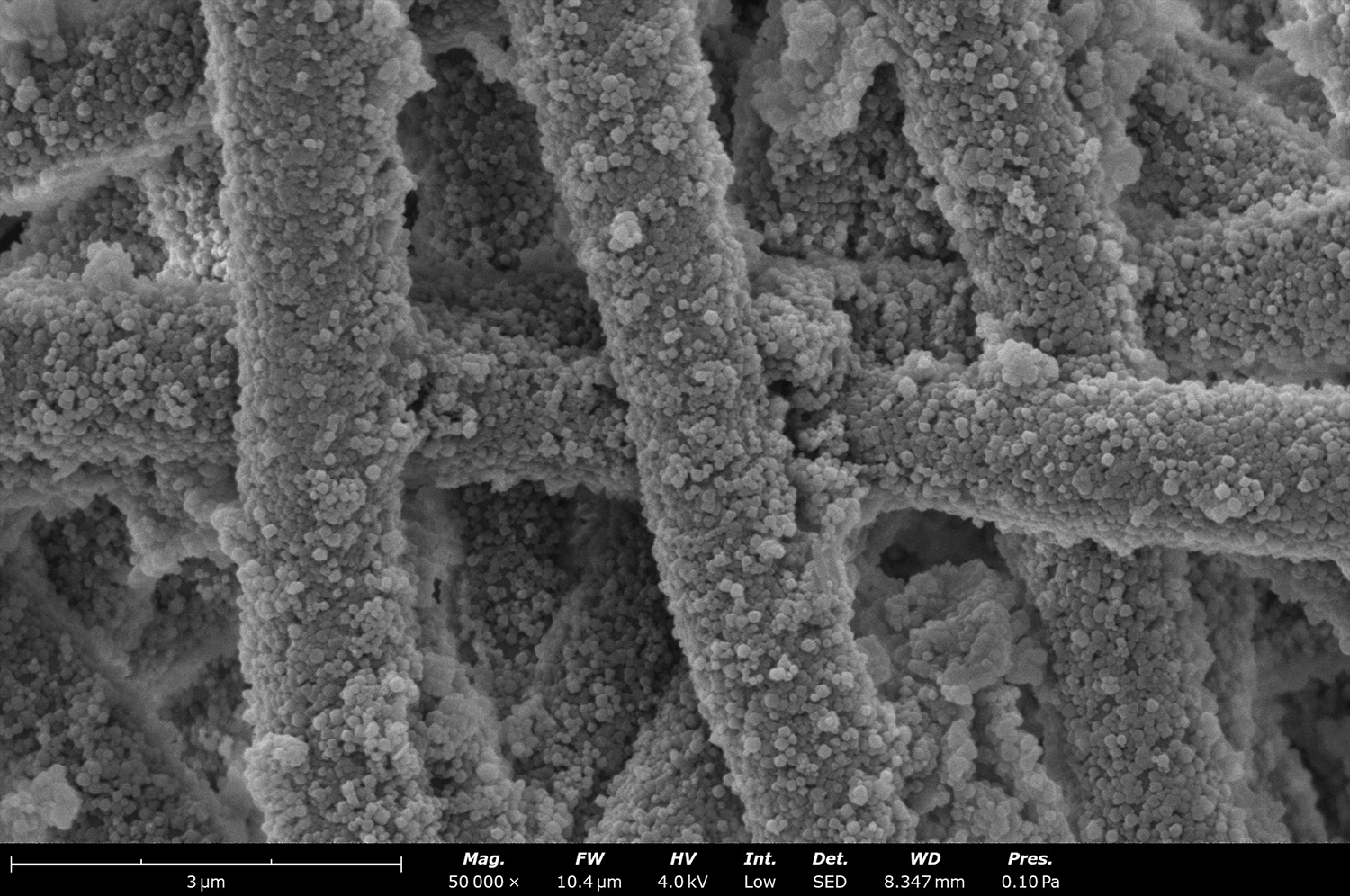 Electrospinning Nanoparticles for Biomedical Devices | Nanoscience ...