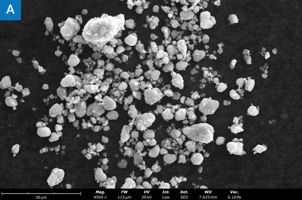 SEM & DLS: Complementary Techniques for Particle Analysis | Nanoscience ...
